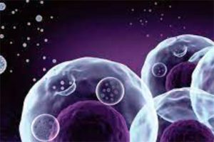 Exosomas: ¿qué son y para que sirven?